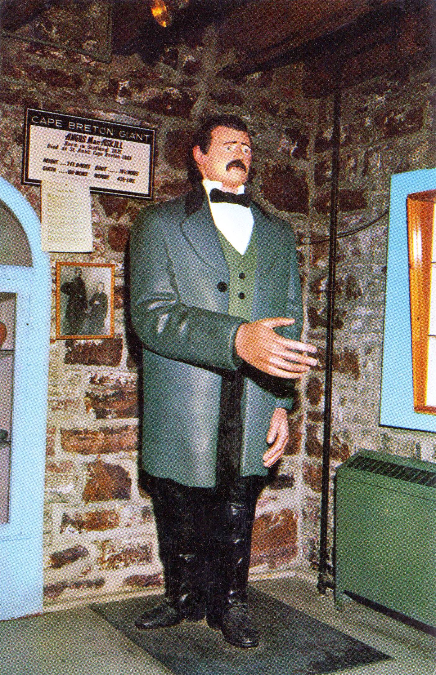 Angus MacAskill The tallest man in Scotland