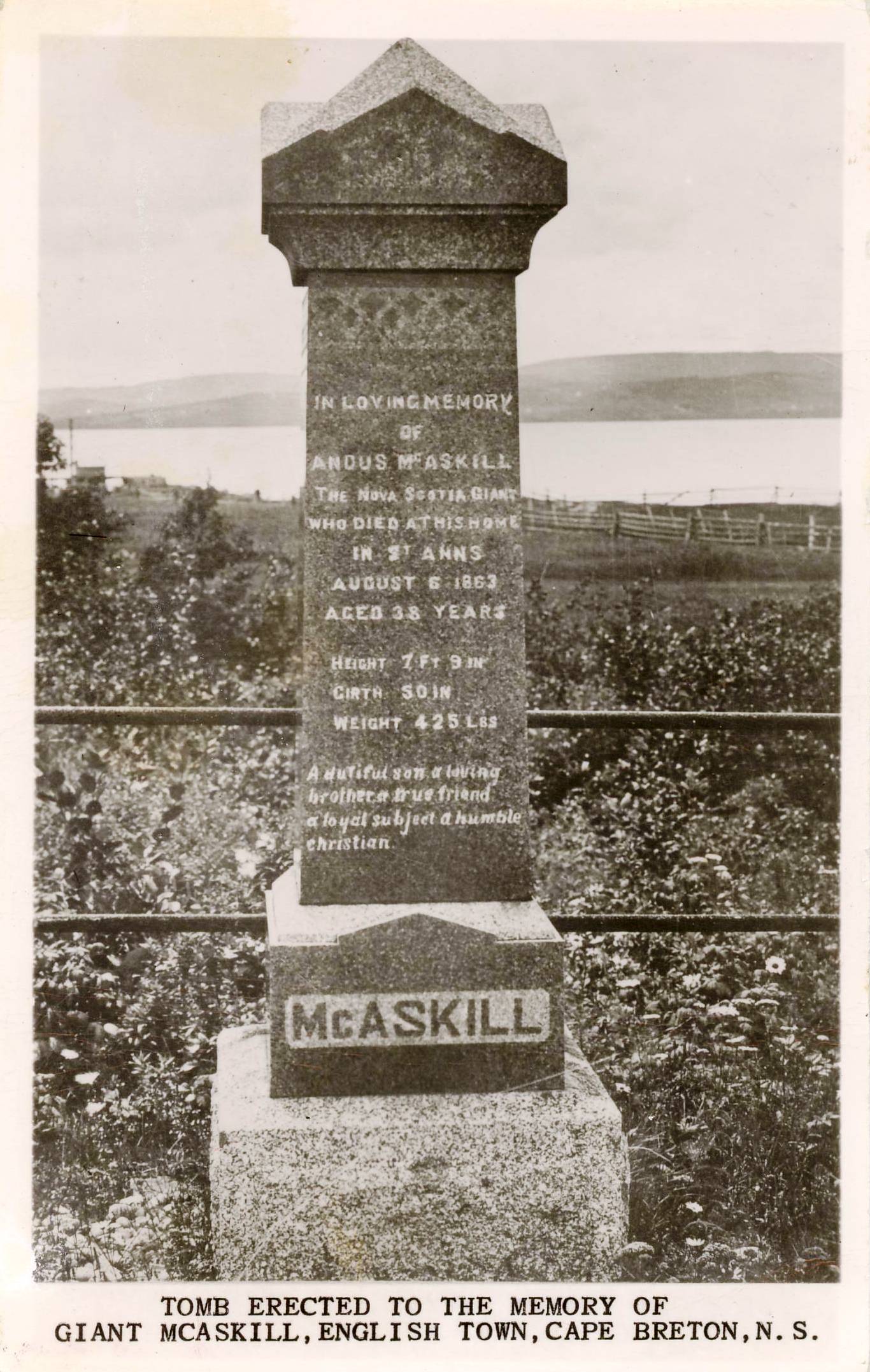 Angus MacAskill The tallest man in Scotland