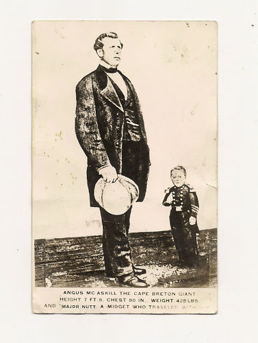 Angus MacAskill The tallest man in Scotland