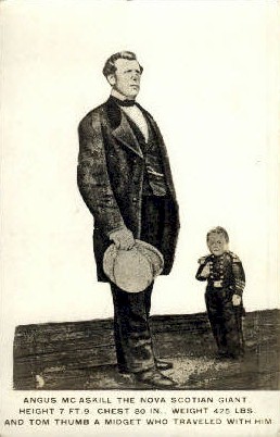 Angus MacAskill The tallest man in Scotland