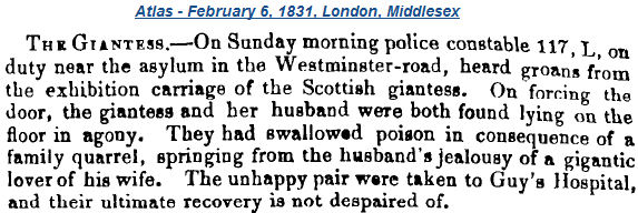 Ann Freeman The tallest woman The Celebrated Scotch Giantess Scottish