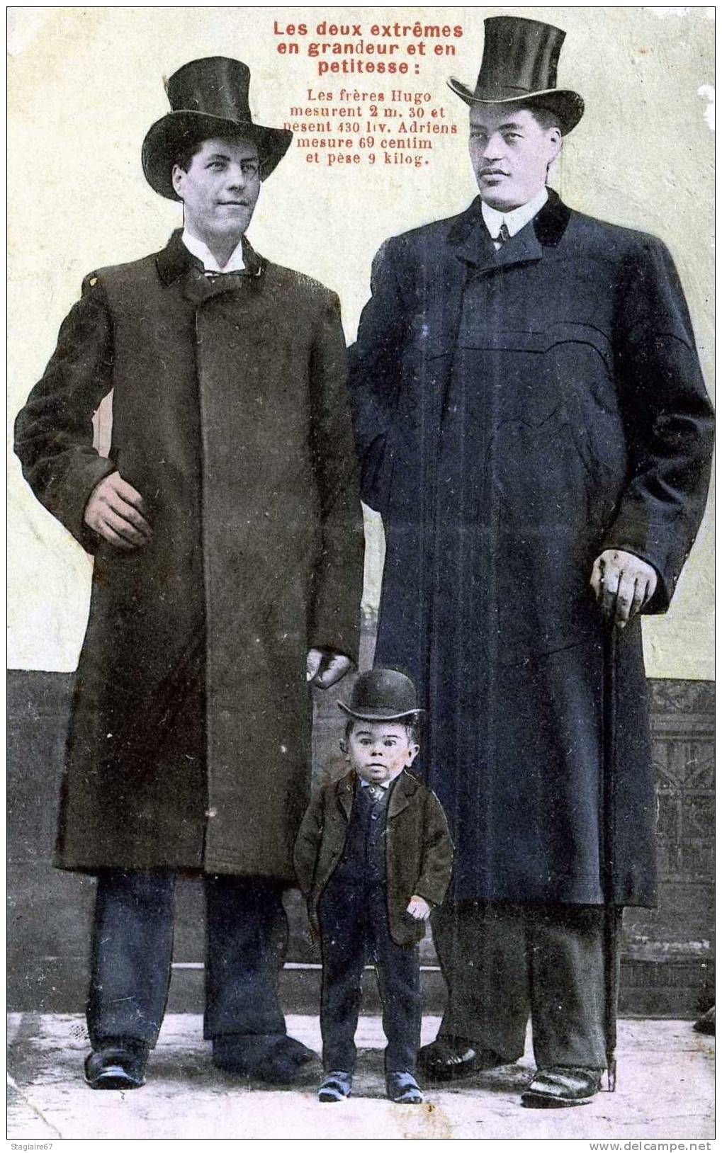 Baptiste Hugo or Battista Ugo - The tallest man