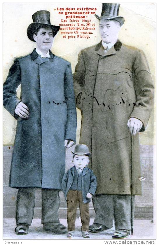 Baptiste Hugo or Battista Ugo - The tallest man