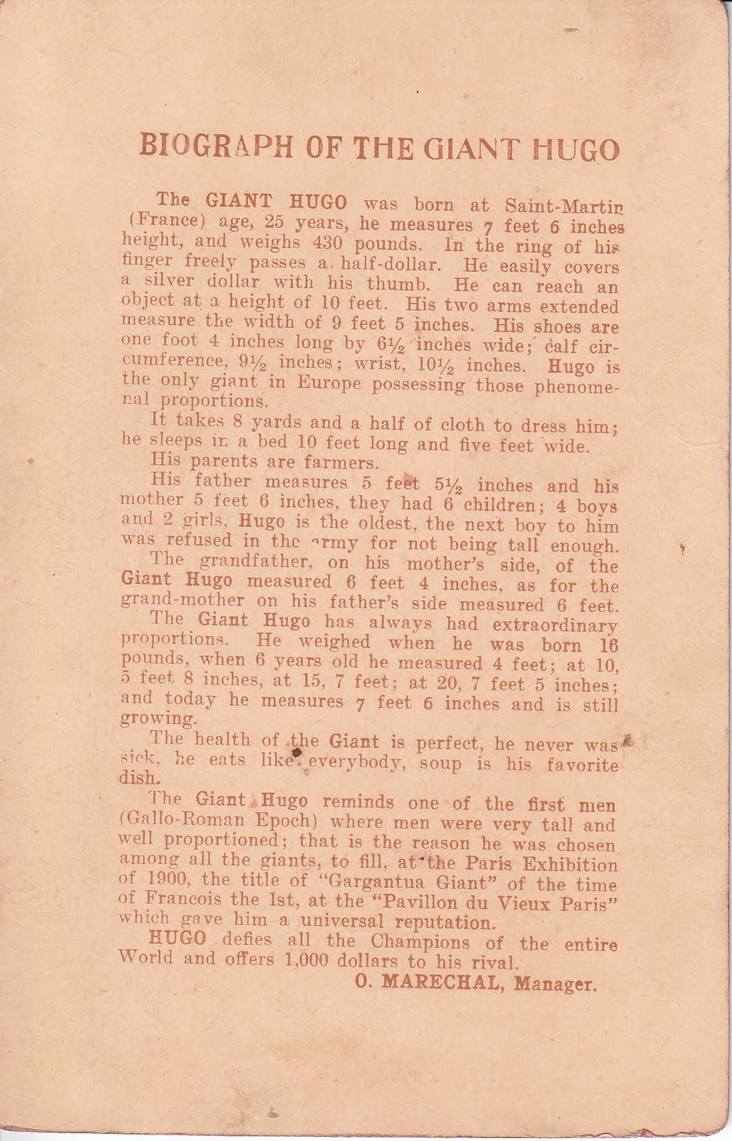 Baptiste Hugo or Battista Ugo - The tallest man