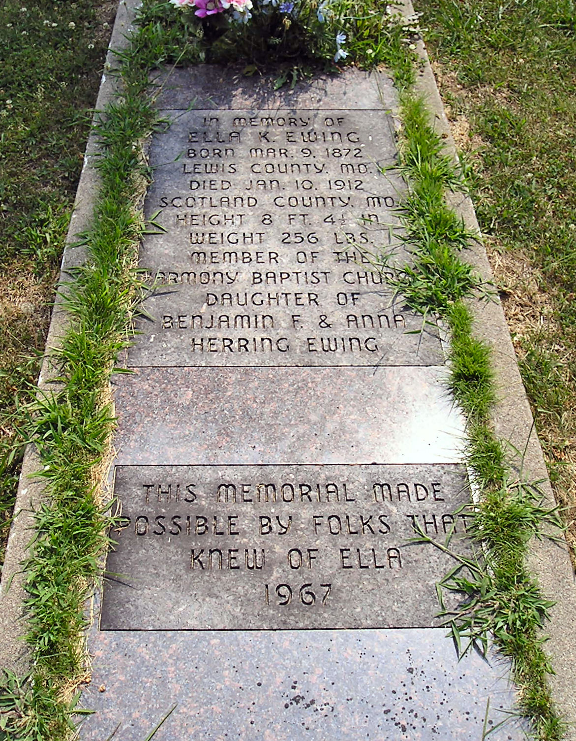 Ella Ewing The tallest woman Missouri