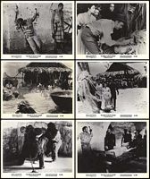 Felipe Birriel Fernández - The tallest man Puerto Rica