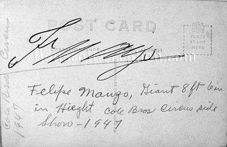 Felipe Manzo Reyes - The tallest man of Mexico