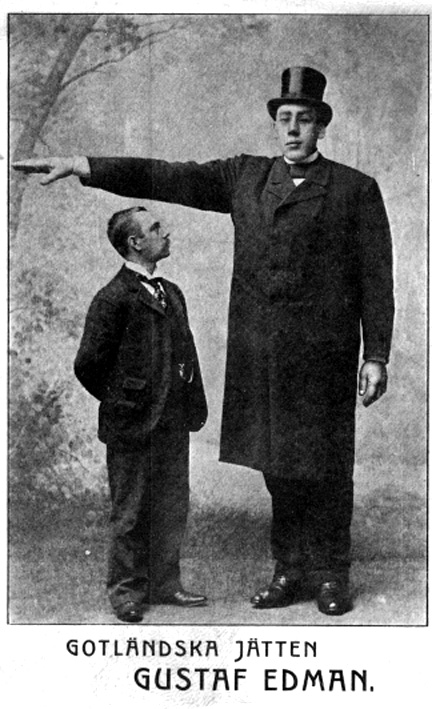 Gustaf Edman The tallest man in Sweden
