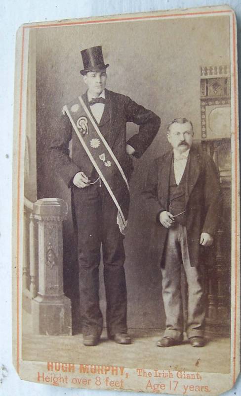 Hugh Murphy - The Baltimore Giant