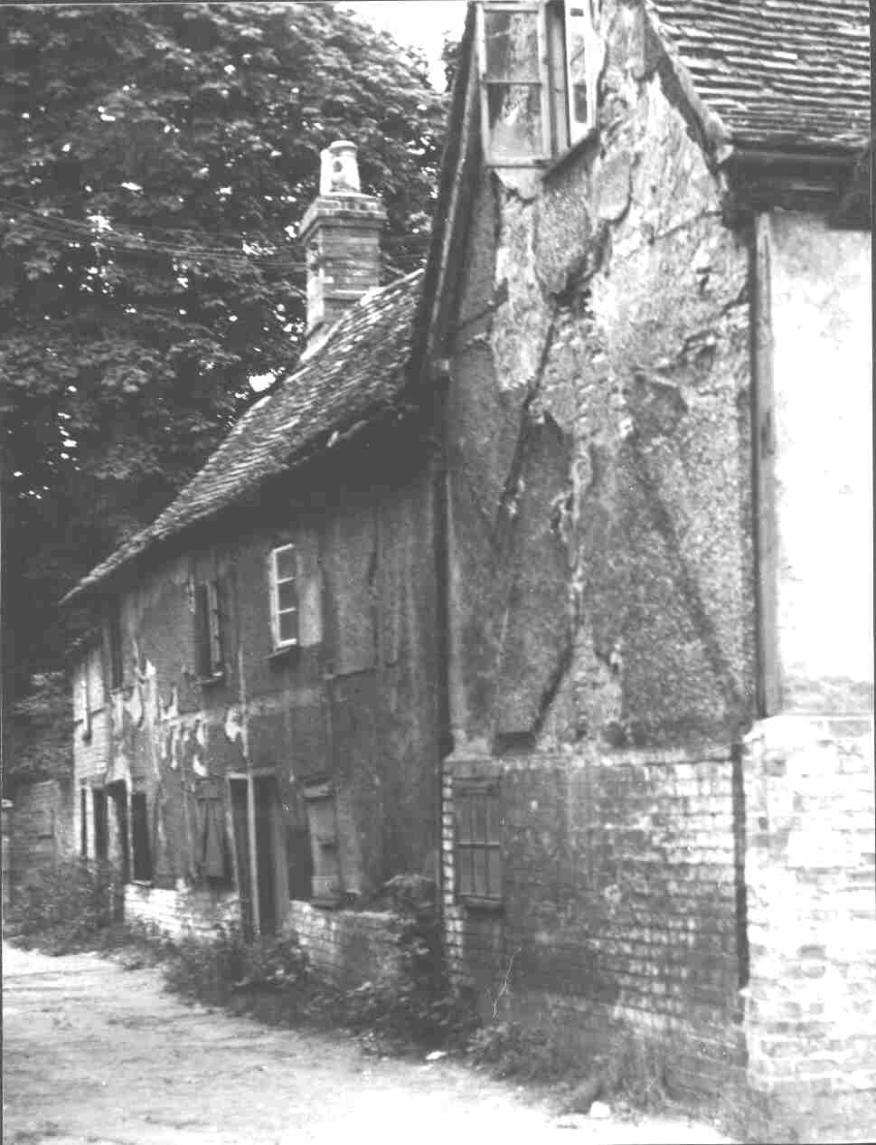 James Toller - The tallest man