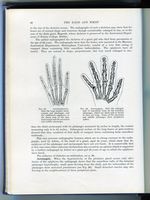 Jane Ginny Bunford The tallest woman