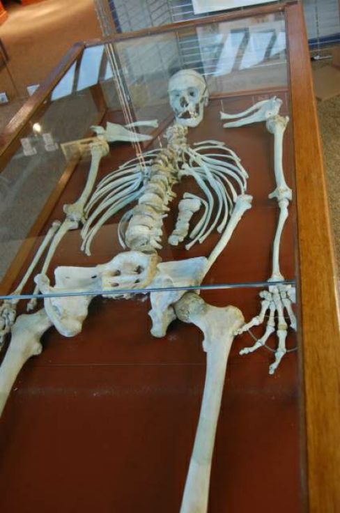 Julius Koch - Le geant Constantin The tallest man Mons