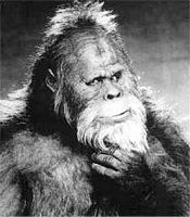 Kevin Peter Hall - The tallest actor