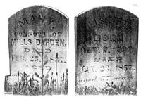 Mills Darden - The tallest man North Carolina