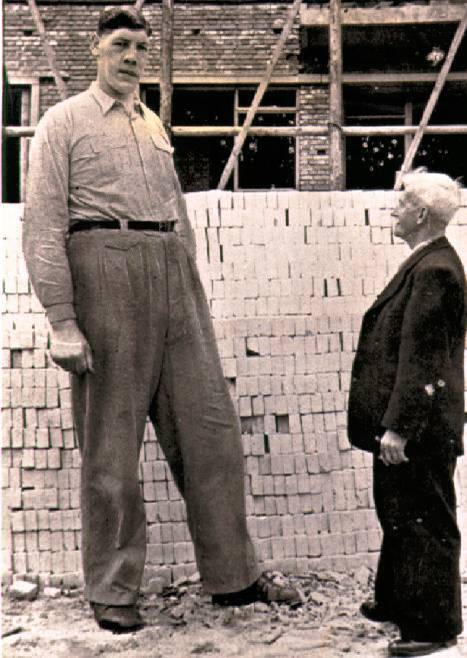 Rigardus Rijnhout - The tallest man Rotterdam Holland