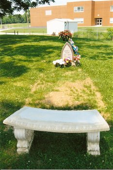 Sandy Allen - The tallest woman