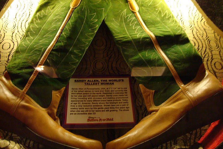Sandy Allen - The tallest woman