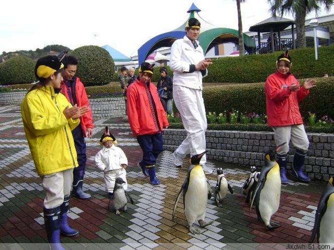 Zhao Liang The tallest man China